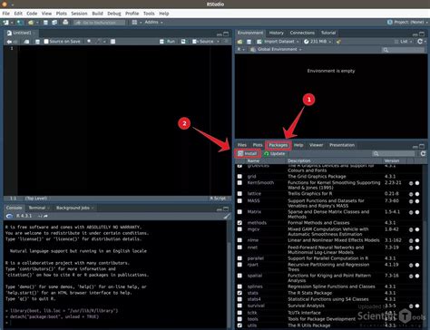 How To Install R Packages In RStudio Scientific Tools