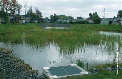 Gestion Des Eaux Pluviales Des Solutions Efficaces Et Esth Tiques