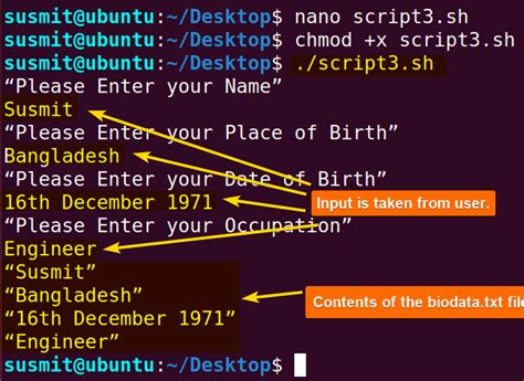how to write bash variable to a file [3 effective methods] linuxsimply