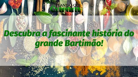 Descubra a fascinante história do grande Bartimão