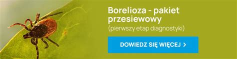 Diagnostyka Boreliozy Kiedy I Jakie Badania