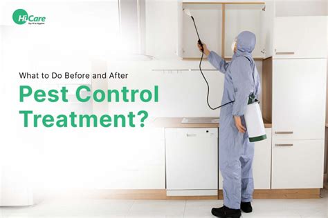 What To Do Before And After Pest Control Treatment Hicare