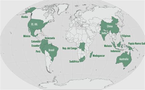 Los 5 países con la mayor biodiversidad en el mundo Ecologia Cotidiana