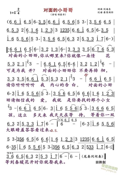 对面的小哥哥 女声版 歌谱简谱网