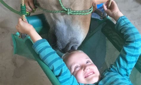 Definition Tiergest Tzte Therapie Jordan
