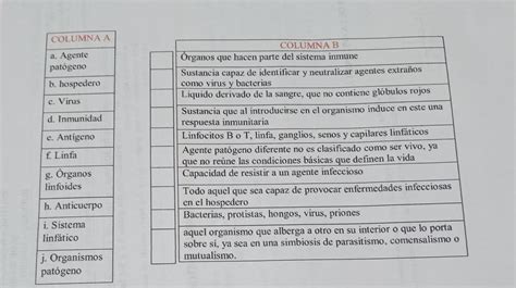 relaciona de manera correcta los términos de la columna a con las