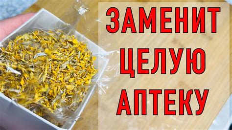 ЗДОРОВАЯ ПОДЖЕЛУДОЧНАЯ ПЕЧЕНЬ ПОЧКИ И ЖЕЛУДОК ДЛЯ ЗРЕНИЯ И YouTube