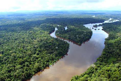 IBGE lança mapa biomas brasileiros
