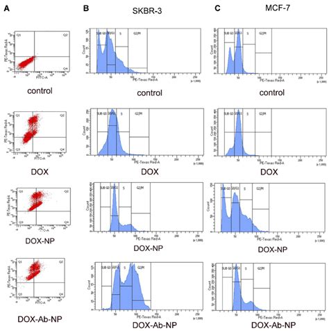 Apoptosis And Cell Cycle Analysis Data Of Breast Cancer Cells Treated