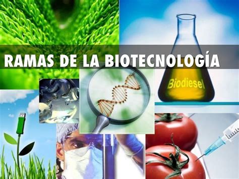 Ramas De La Biotecnologia SEO POSITIVO