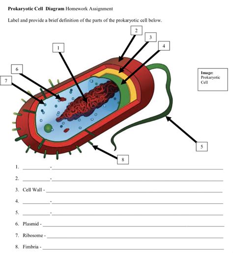 Diagram Of A Prokaryotic Cell Labeled Parts