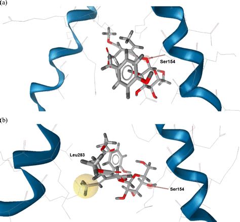 Structure Based Pharmacophore Models Illustrate Molecular Interactions