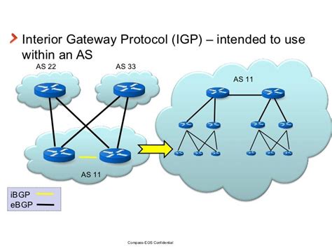 an intoroduction to the is is igp routing protocol