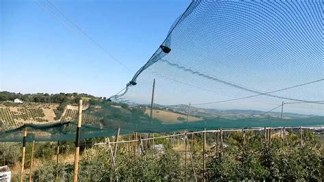 Rete Antigrandine Per L Orto Struttura Montaggio E Costo