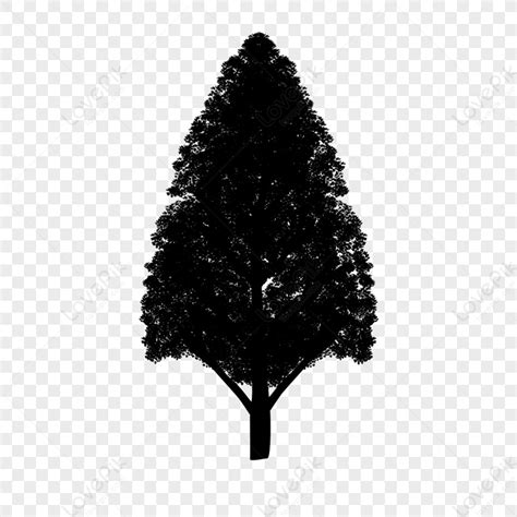 Black Tower Pine Tree Silhouette Pinus Resinosa Albizia Procera Pinus