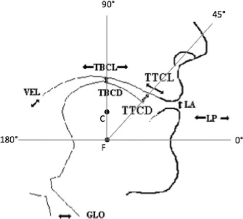 figure 1 from recognizing articulatory gestures from speech for robust speech recognition