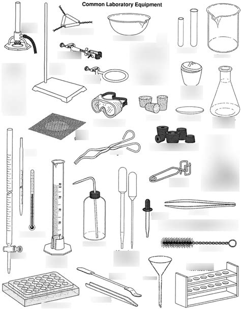 Lab Equipment Diagram Quizlet