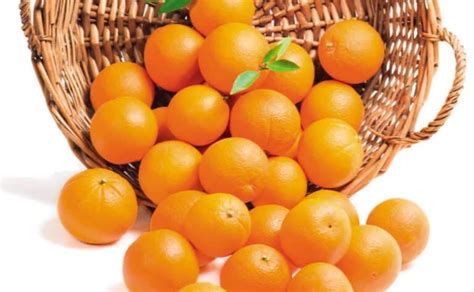 Cu Nto Cuesta El Kilo De Naranjas Cu Nto Cuesta