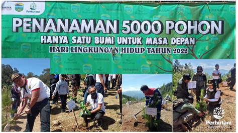 Perhutani Peringati Hari Lingkungan Hidup Sedunia Perhutani Bersama