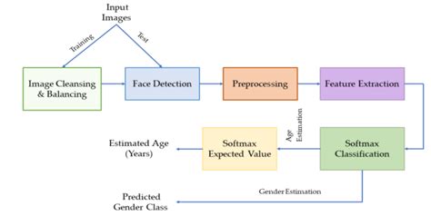 applied sciences free full text deep learning based real age and gender estimation from