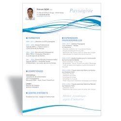 Cv Vierge À Remplir Gratuit Cv A Remplir Top Des 18 Modeles De Cv