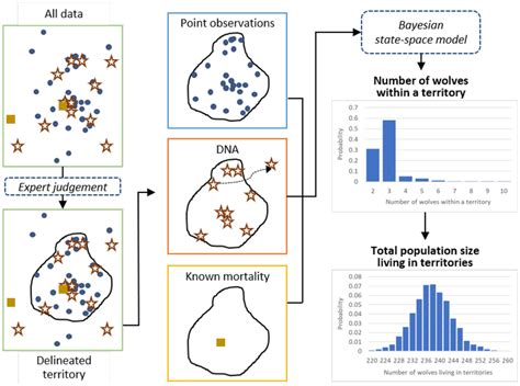 the role of the bayesian state space model in the process of annual download scientific diagram