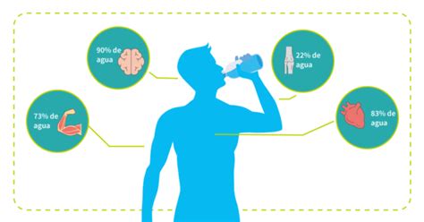Calcula en 3 pasos cuánta agua debes beber al día
