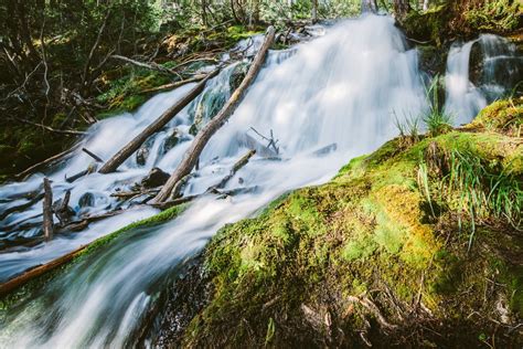 Fotos Gratis Paisaje Rbol Naturaleza Bosque Cascada Arroyo
