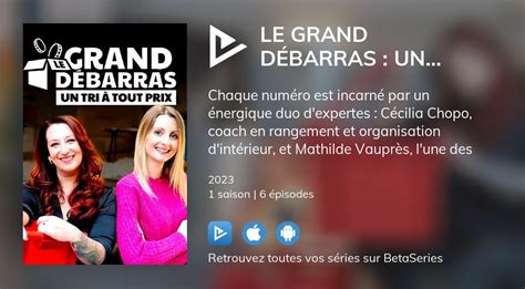 Où regarder les épisodes de Le Grand Débarras un tri à tout prix en