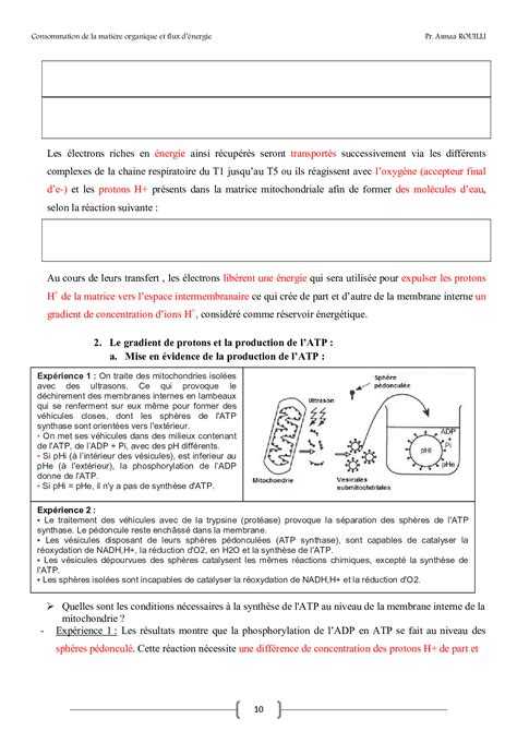 Libération de lénergie emmagasinée dans la matière organique