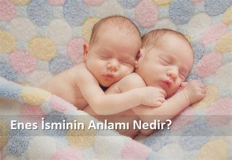 Enes Isminin Anlam Nedir Enes Ismi Kuranda Ge Iyor Mu Caiz Mi
