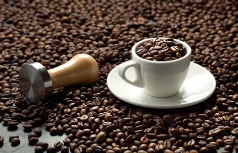 Entenda como seu corpo reage quando você toma café o estômago vazio