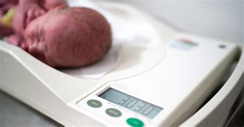 Talentoso Álgebra Email peso de un bebe recien nacido tirano animación