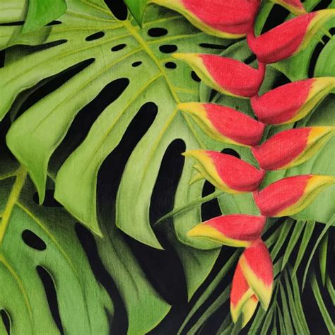 Descubra 99 Kuva Commander Des Fleurs Exotiques Thptnganamst Edu Vn
