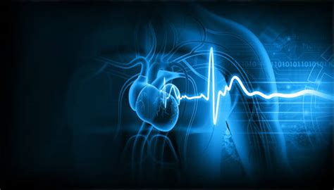 Cardio H I I T MJC Le Vivarium