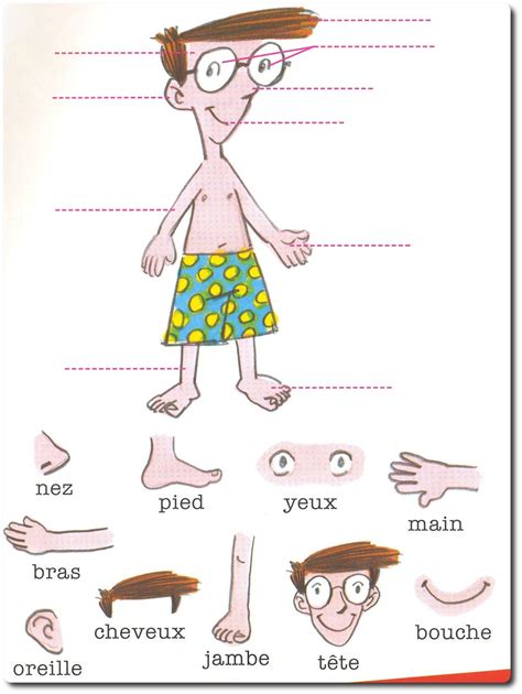Lexique Le Cahier du FLE Partie du corps Enfants français Langue