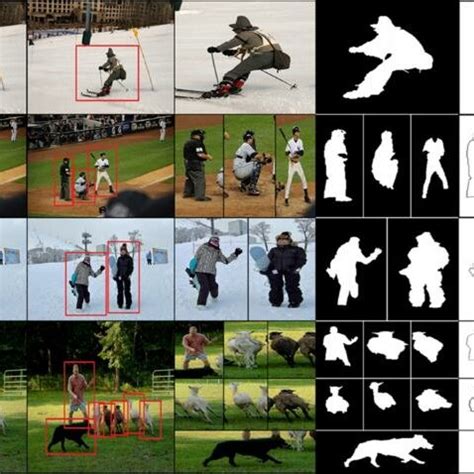 Examples Of Object Detection And Contour Extraction A Original