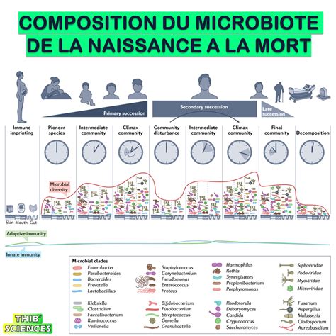 Microbiote humain et santé SVT au lycée