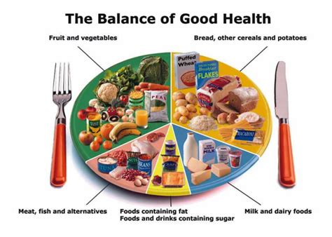 The History Of The Eatwell Guide MyBMI