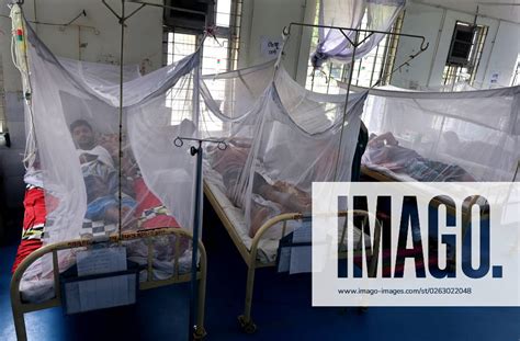 Bangladesh Dengue Fever Treatments At Chitta Imago