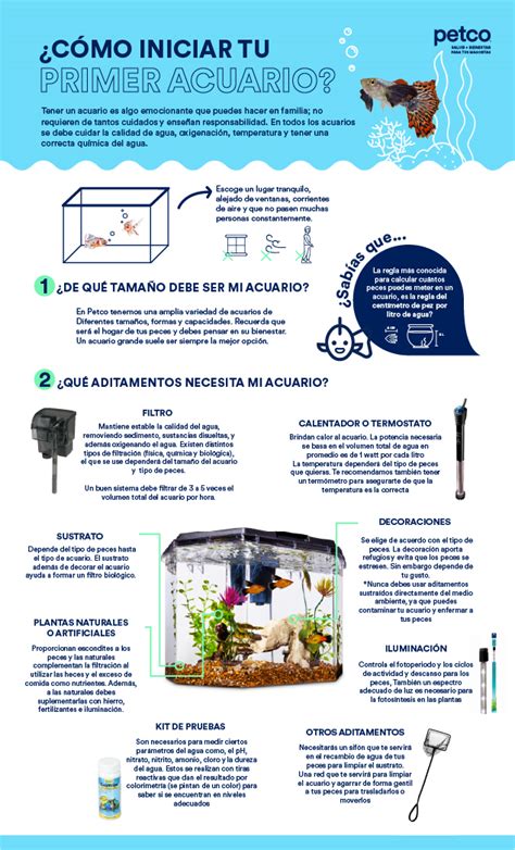 Cómo montar tu acuario paso a paso Blog Petco Chile