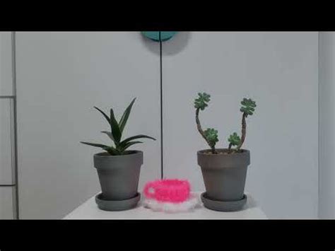 until we meet again 우리 다시 만날 때까지 YouTube