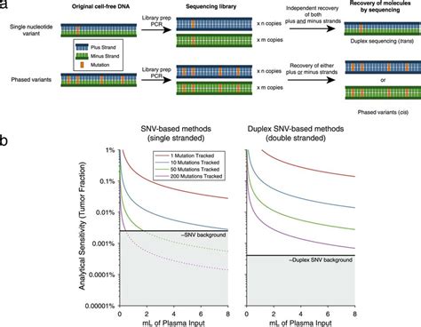 comparison of duplex sequencing to phased variant sequencing a a download scientific diagram