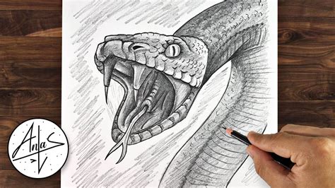 How To Draw A Snake Sketch Tutorial Youtube