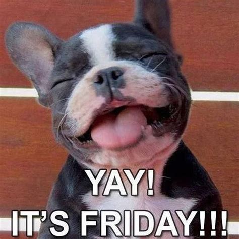 75 Happy Friday Memes That Ll Make Your Weekend A Lot Better Cute