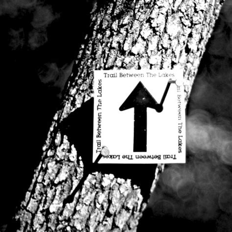 Stream Nackt Listen To Nackt Mastering Portfolio Playlist Online