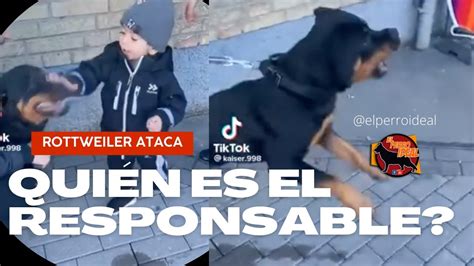 Cómo echar a perder a un perro en un segundo YouTube