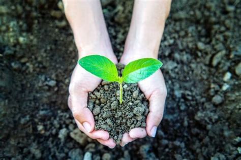 O que é agricultura sustentável e seus benefícios Blog Irrigat