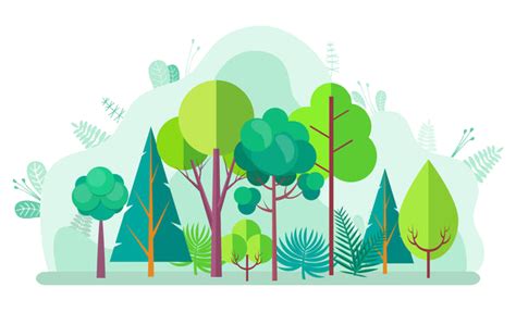 Bosques Panamá