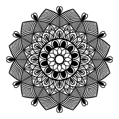 Mandala Vector Blanco Y Negro PNG Mandalas Diseño De Mandalas